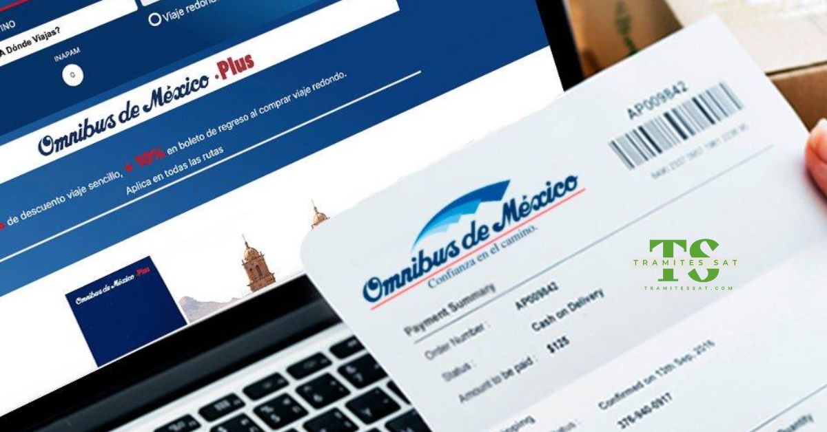 Ómnibus Facturación en línea: Pasos y requisitos para facturar tus ...